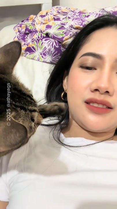 kelakuan kucing kocak - YouTube