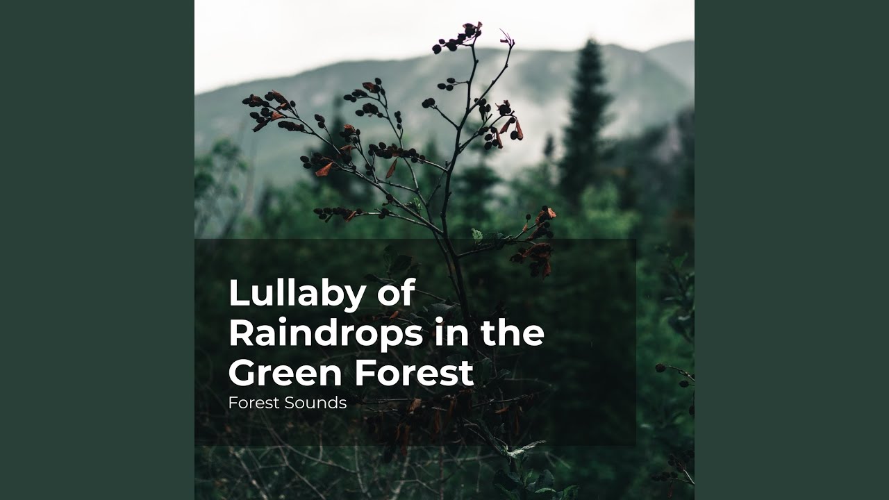 Relishing the Nature - YouTube