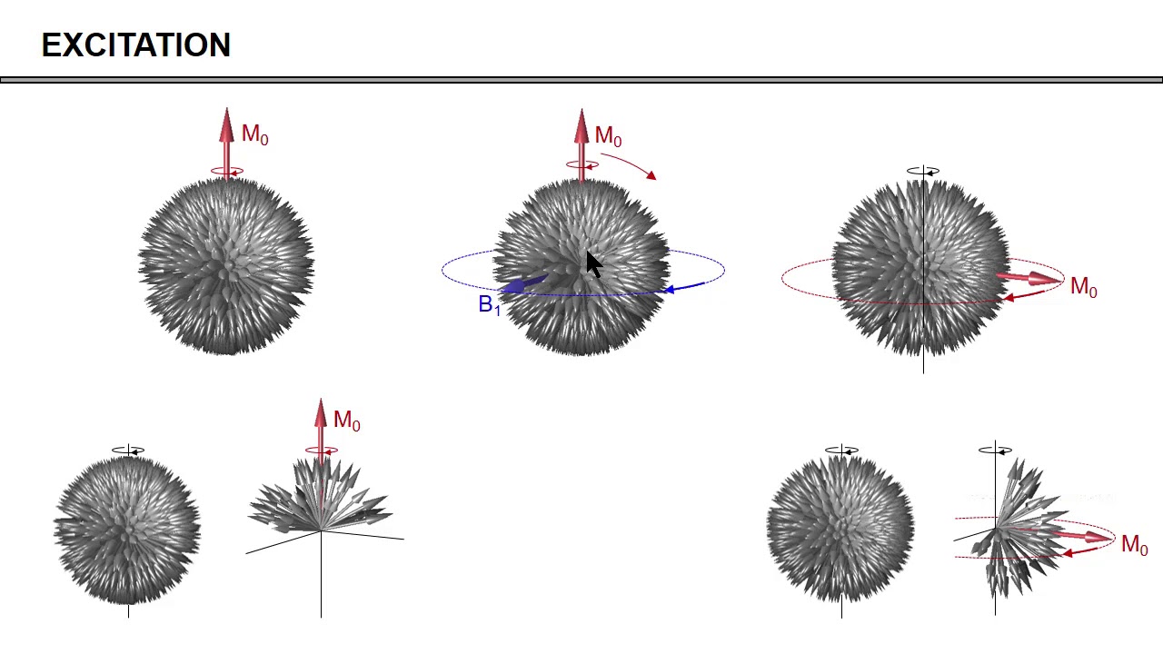 ISMRM MR Academy - Basic Principles of MRS - YouTube