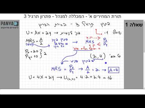 PANYA תורת המחירים א - המכללה למנהל - פתרון תרגיל 3 - אתר