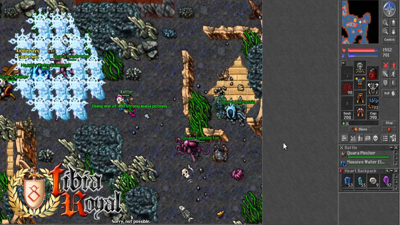 [Tibia Royal] - Quaras Calassa - YouTube