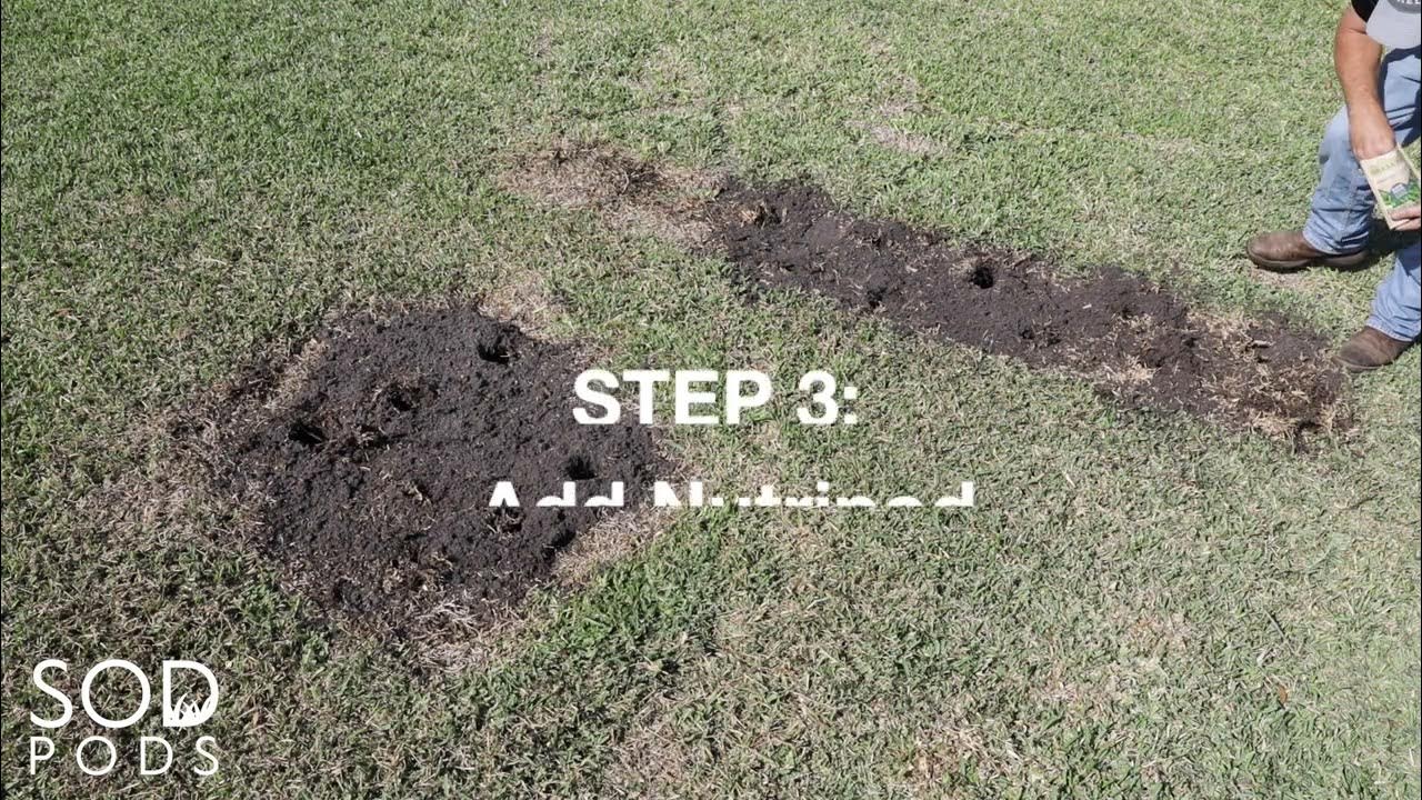 Easiest Way To Plant Sodpods Grass Plugs Youtube
