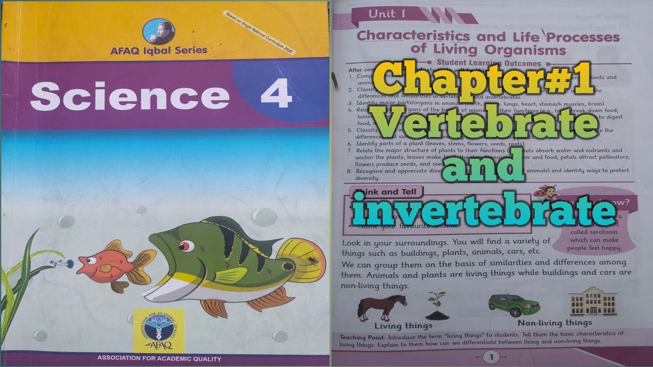 Class 4 General science chapter 1 vertebrate and invertebrate - YouTube