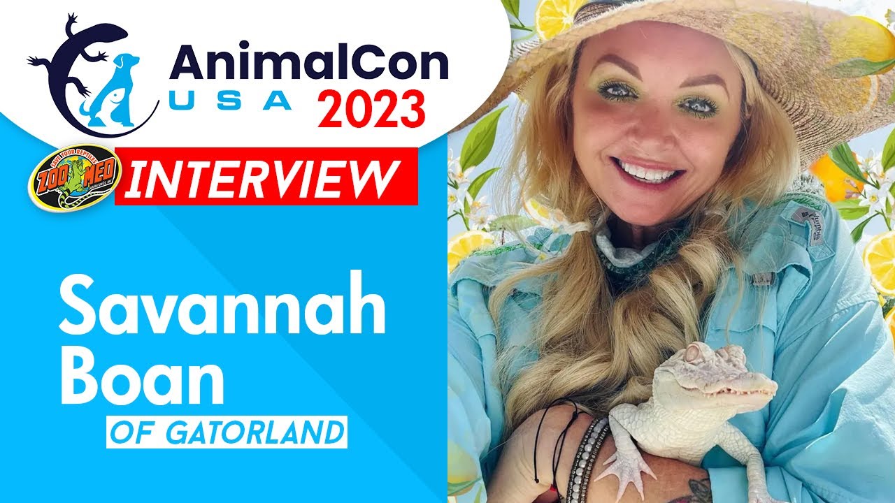 Savannah Boan of Gatorland Interview - AnimalCon USA 2023 - YouTube