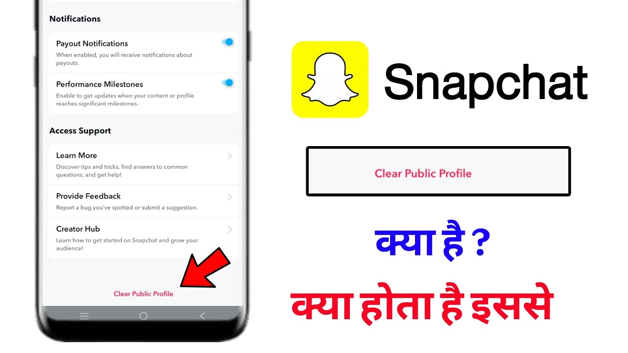 Snapchat clear public profile kya hai | Snapchat clear public profile ...