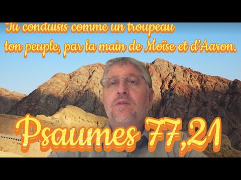 Les Psaumes dans le judaïsme, psaume 77,21. Moise le berger et la ...