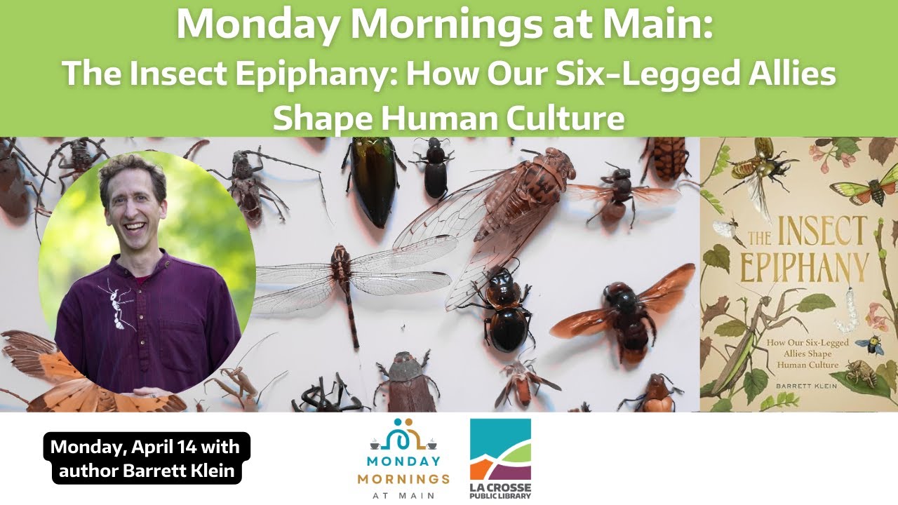 Monday Mornings at Main: The Insect Epiphany - YouTube