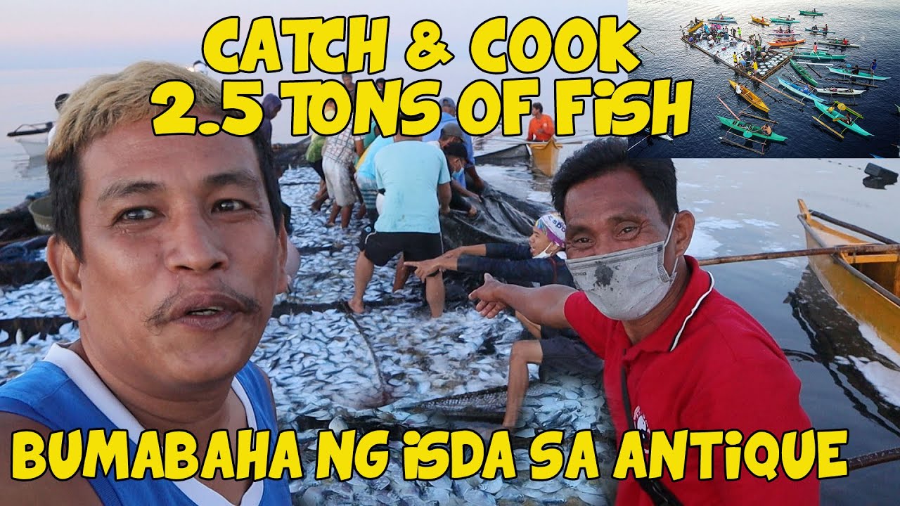 2.5 TONS NA ISDA! | UMUULAN NG ISDA SA ANTIQUE! - YouTube