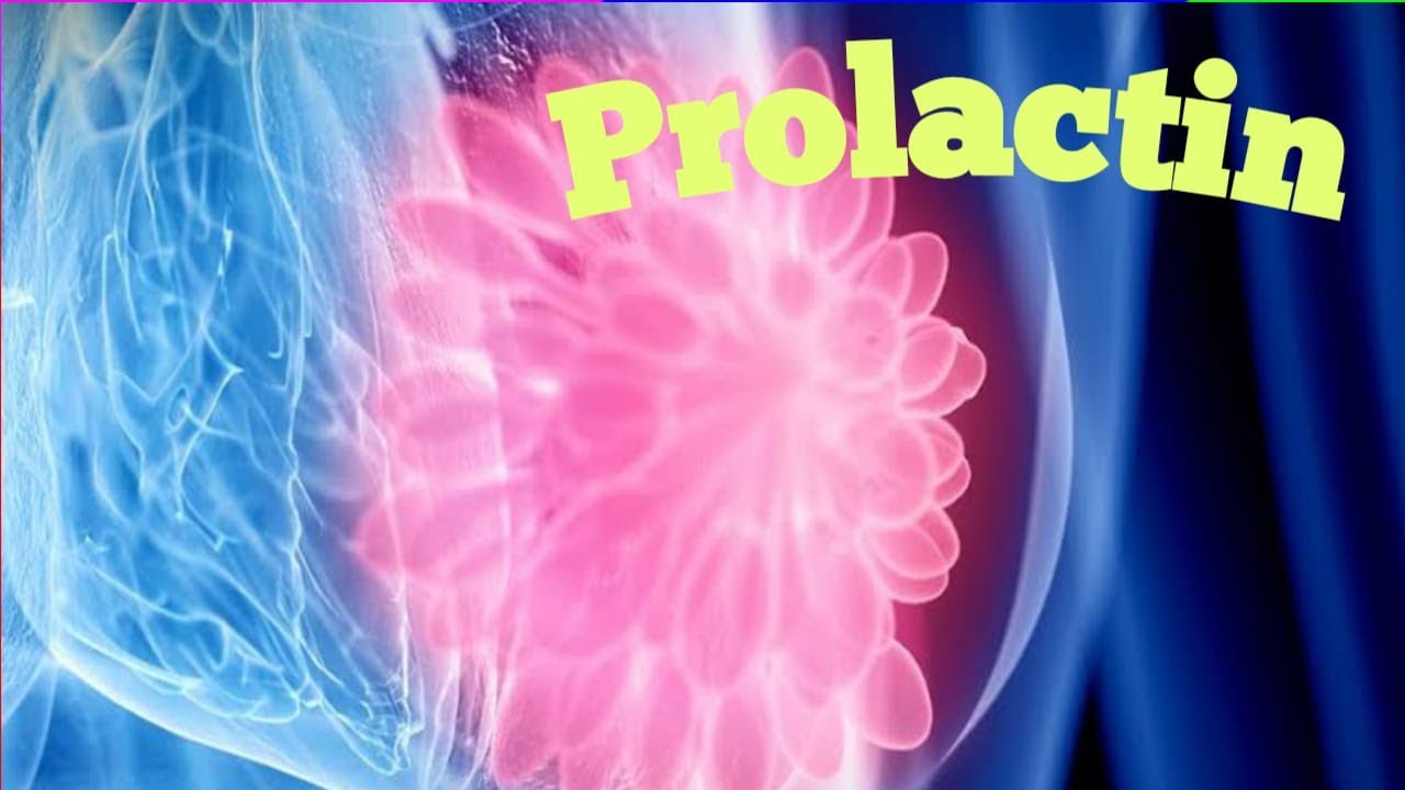 Prolactin hormone - YouTube