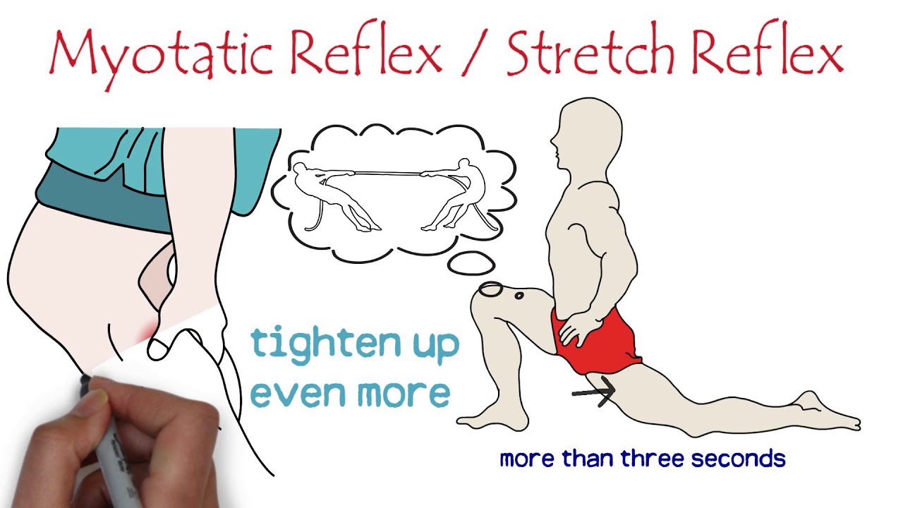 2 Second Stretch Video By Corinne Ross - YouTube