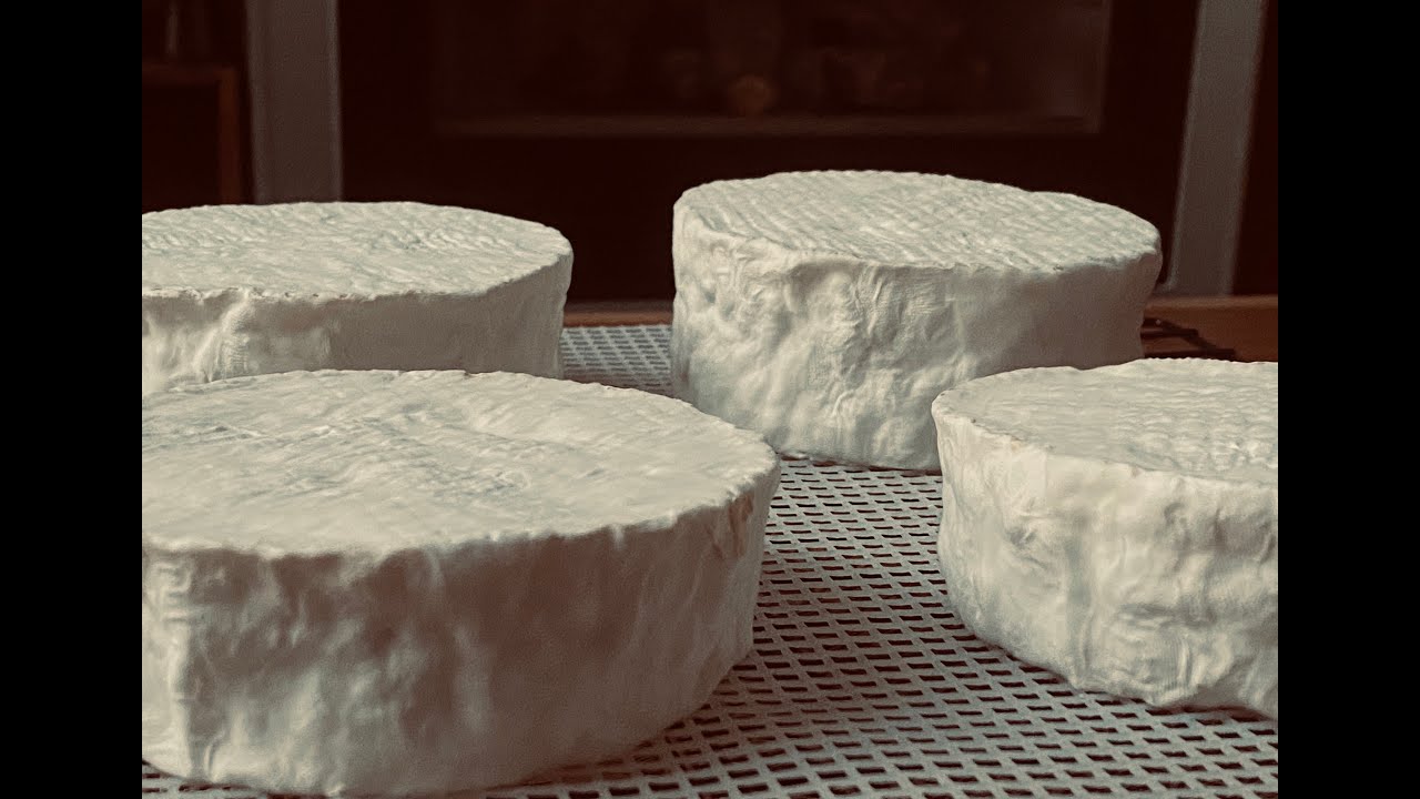 how to make brie at home (3) - YouTube