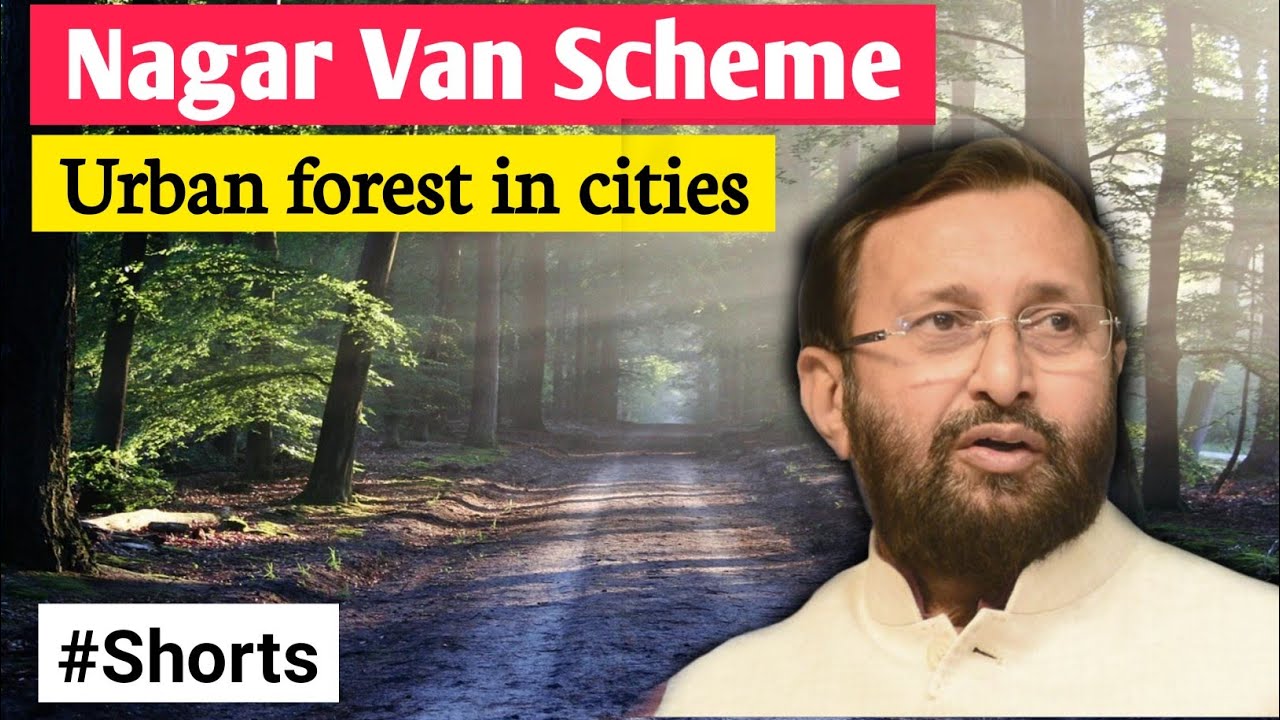 What is Nagar Van Scheme ? l Urban Forest Mission l 2021 l Hindi - YouTube