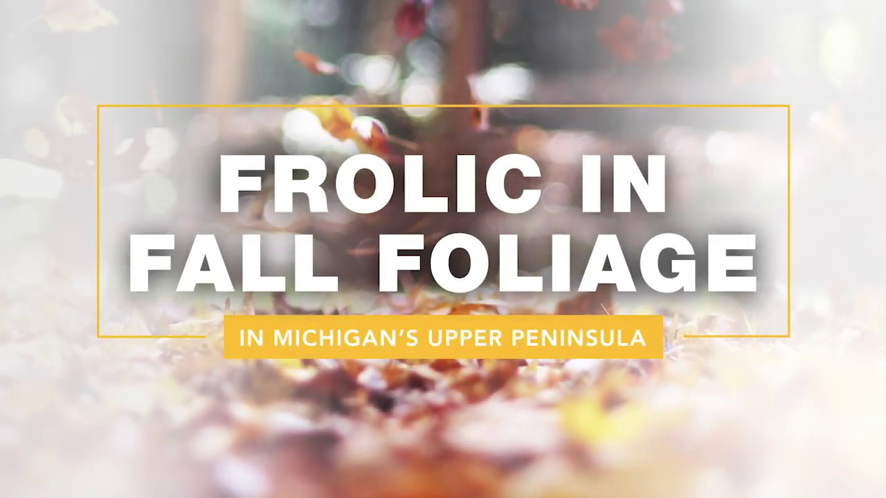 Frolic in Fall Foliage - YouTube