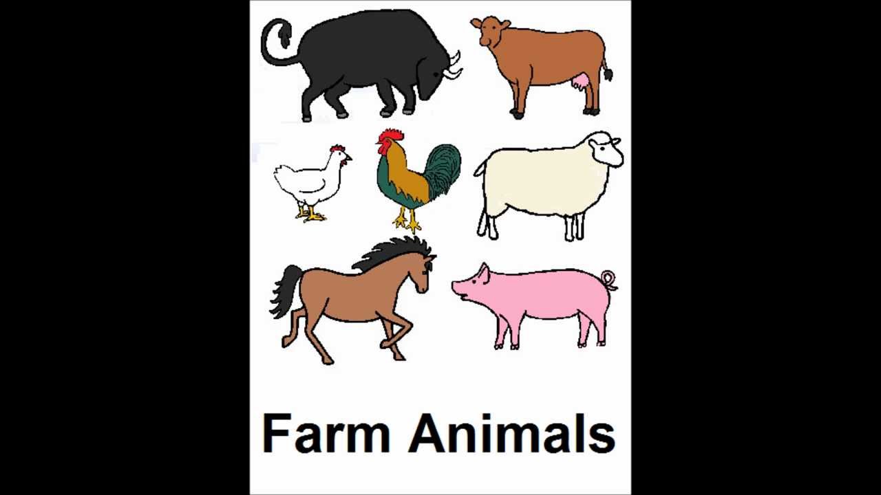 Learn English - Lesson #20: Farm Animals - singular and plural ...