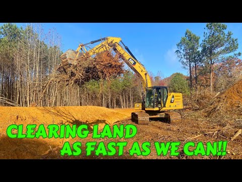 Clearing land with a CAT 320 excavator!