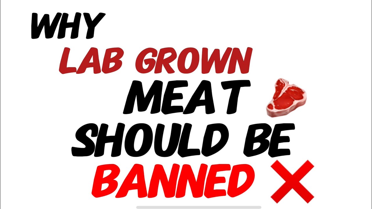 Why Lab Grown Meat Should Be Banned - YouTube