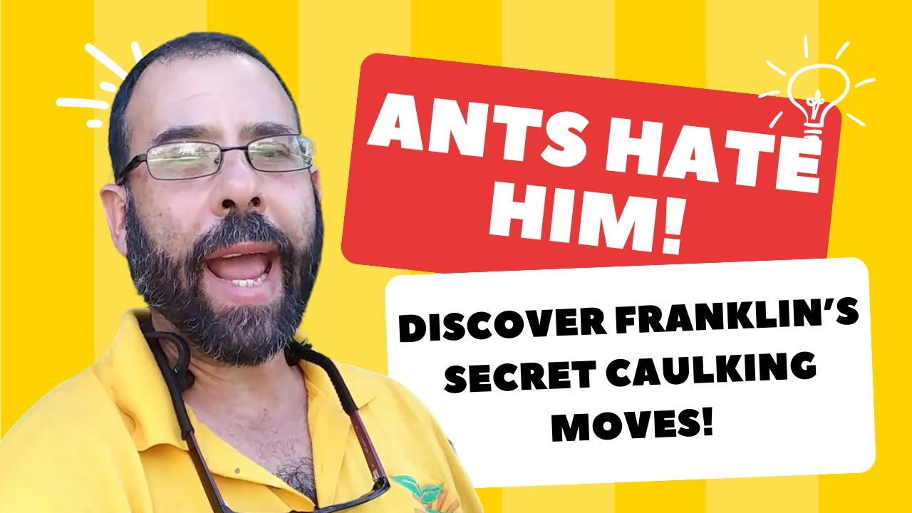 Seal Out Ants: Expert Caulking Tips with Franklin 'The Pestgeek ...