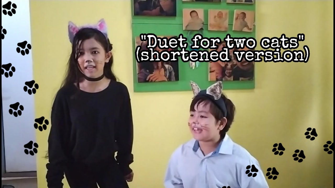 duet for two cats - YouTube