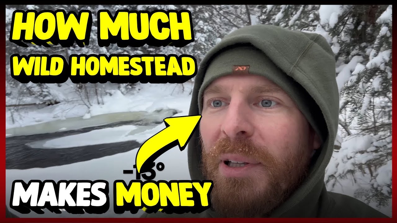 How Much Wild Homestead Makes Money On YouTube 2024 - YouTube
