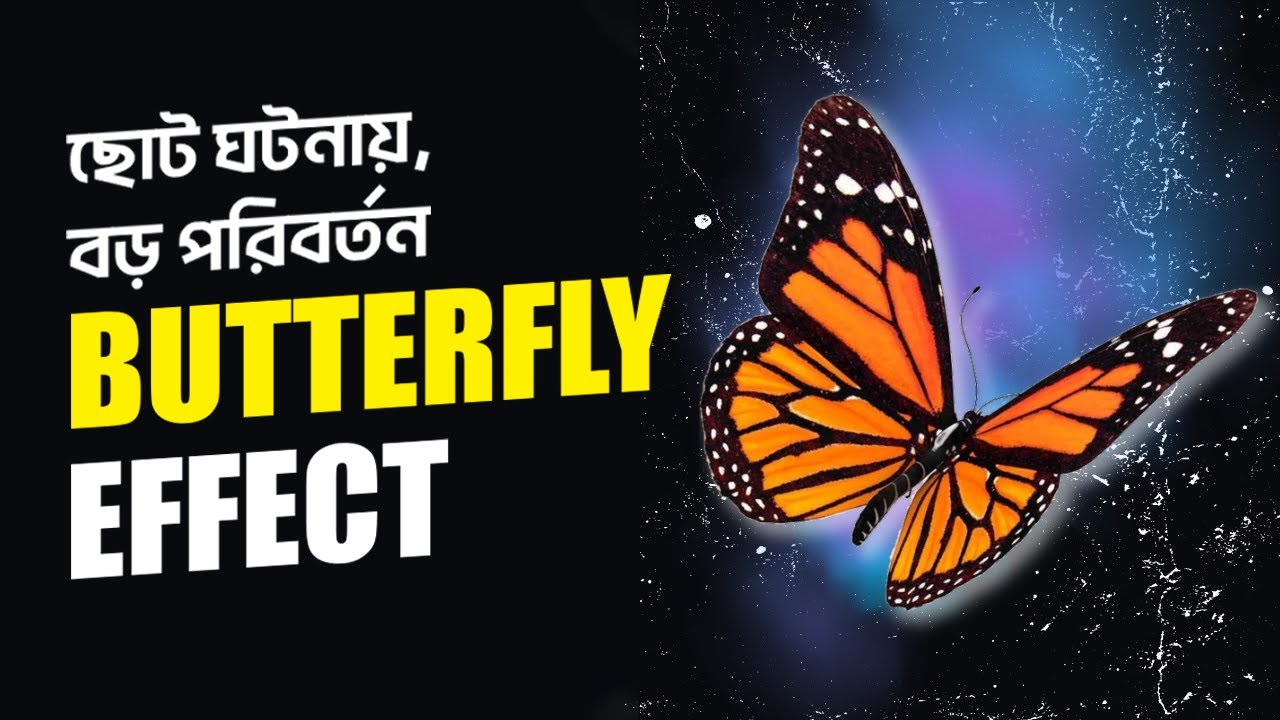 Butterfly Effect Explained in Bangla | ছোট ঘটনায়, বড় পরিবর্তন । বাটারফ্লাই ইফেক্ট - YouTube