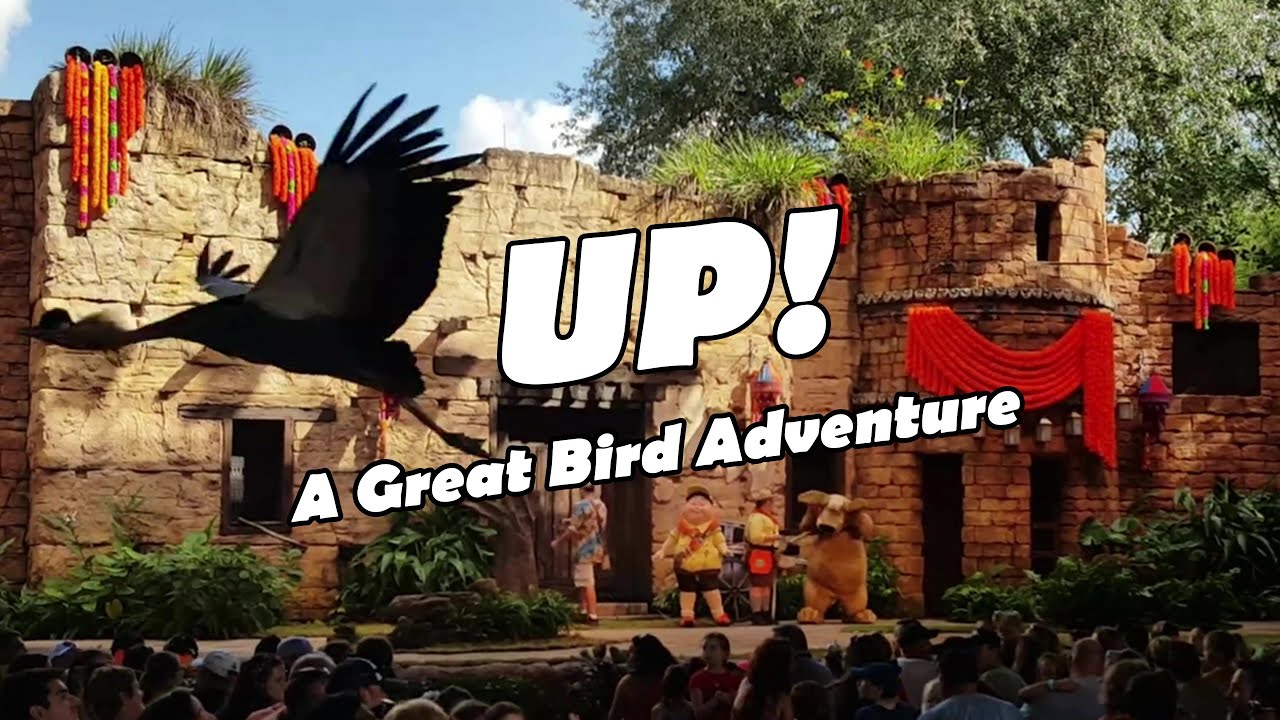 UP! A Great Bird Adventure - YouTube