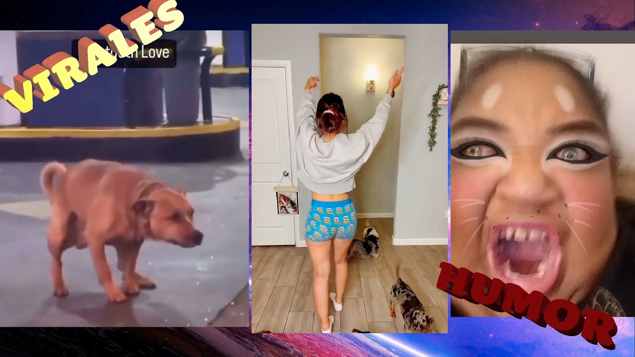 Los Mejores VIDEO MEMES RANDOM Si Te Ries Pierdes, Videos De Risa, Try ...