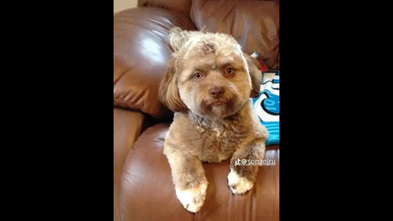 SCP Secret Laboratory THE CLAPPING ZOMBIE - YouTube