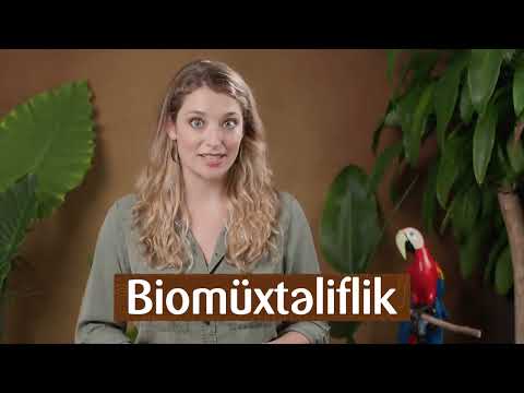 Torpaq nədir və nə üçün vacibdir?