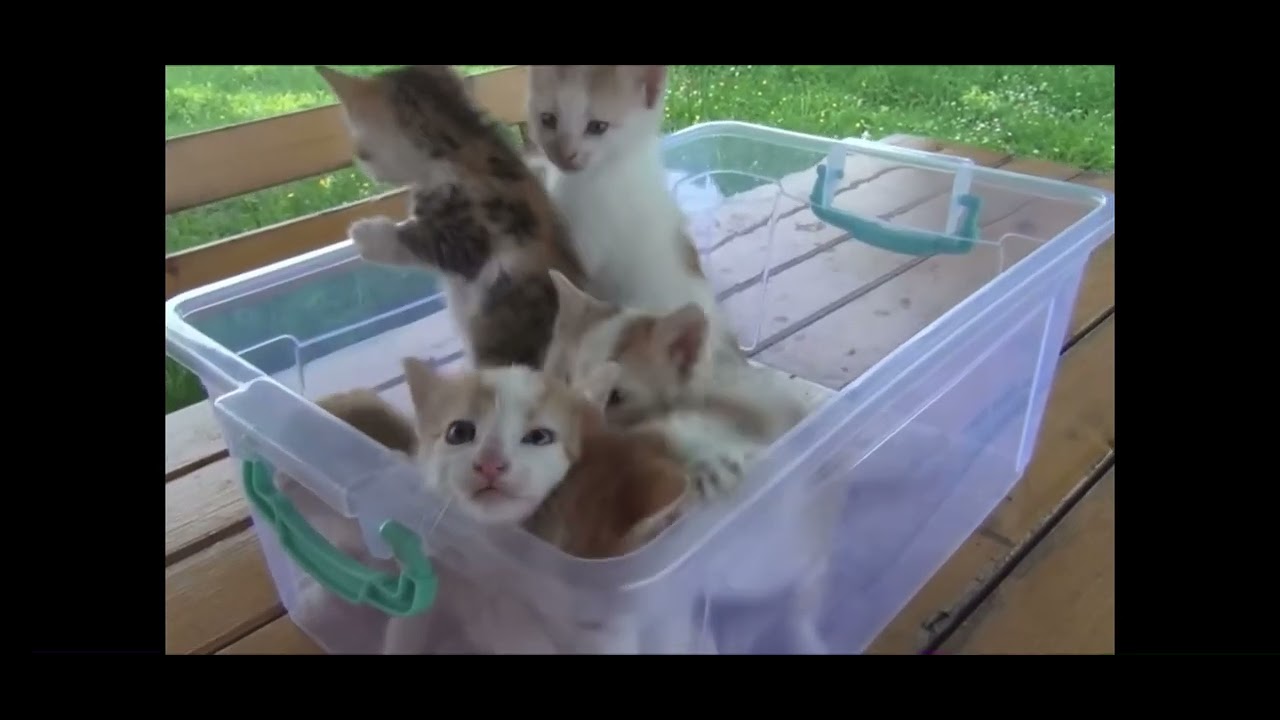 jesus jumpscare! - YouTube