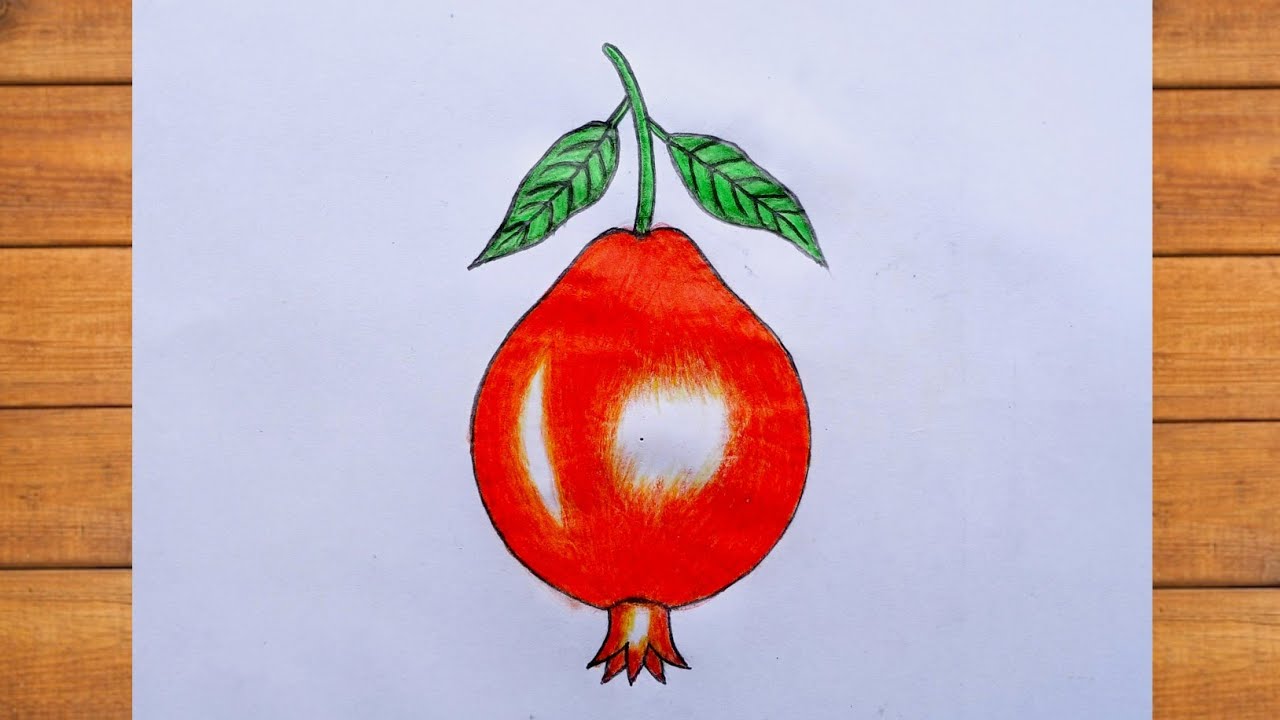 How to draw a pomegranate। Step by step drawing। Easy drawing tutorial ...