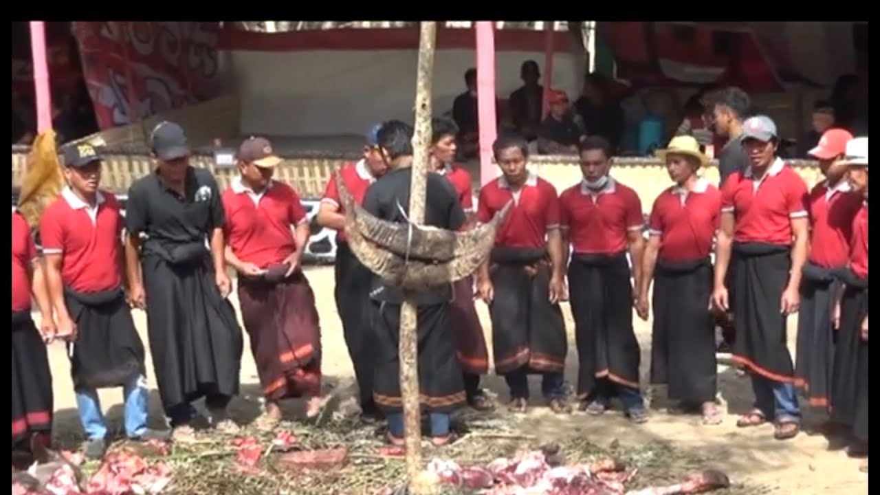 rambu solo' acara ritual adat pemakaman toraja part 36 - YouTube