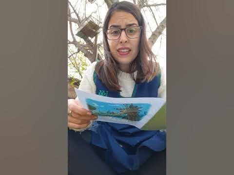 La jirafa enjabonada de Silvia Schujer - YouTube