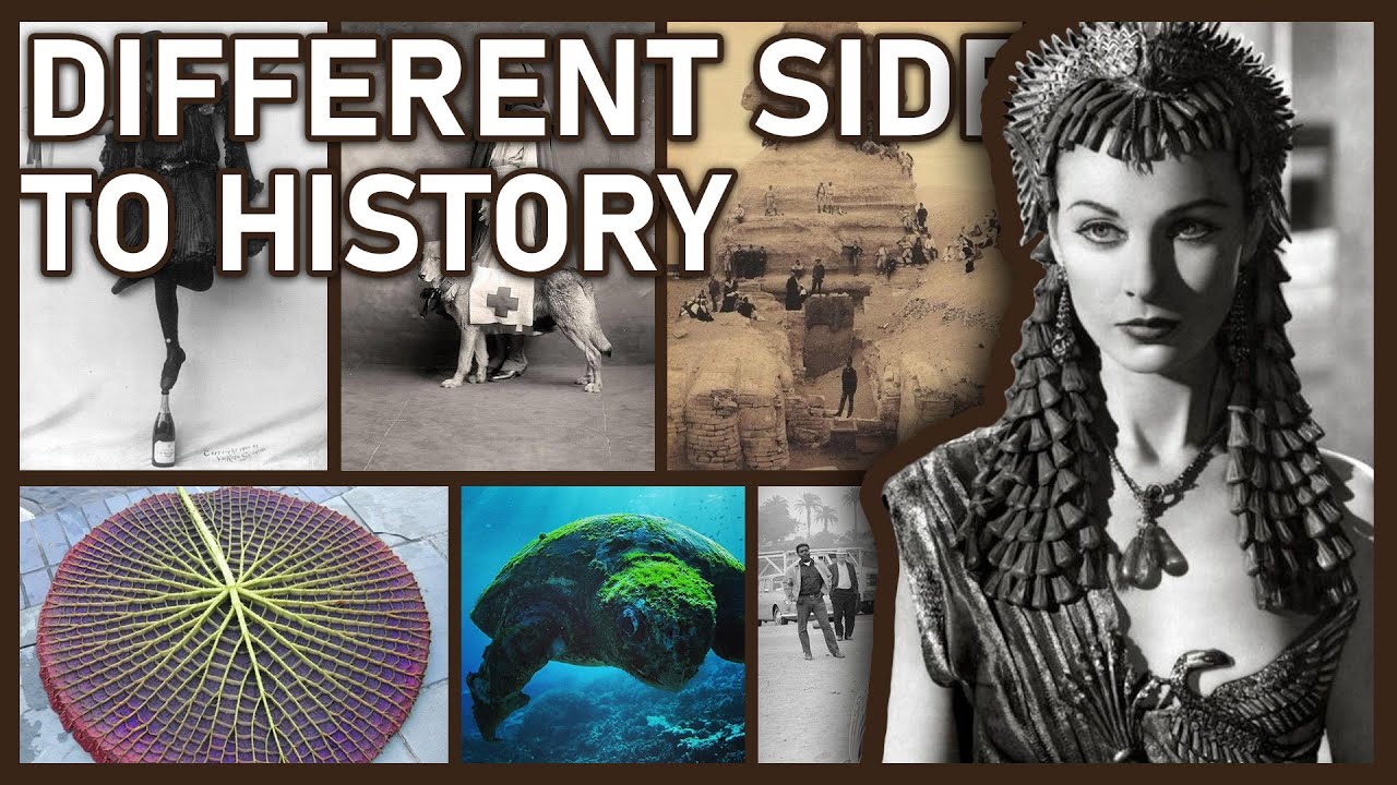 Unveiling the Unseen: Vintage Photos From The Past Revealing a ...