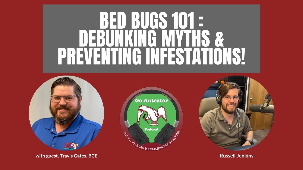 Bed Bugs 101 : Debunking Myths & Preventing Infestations! - YouTube