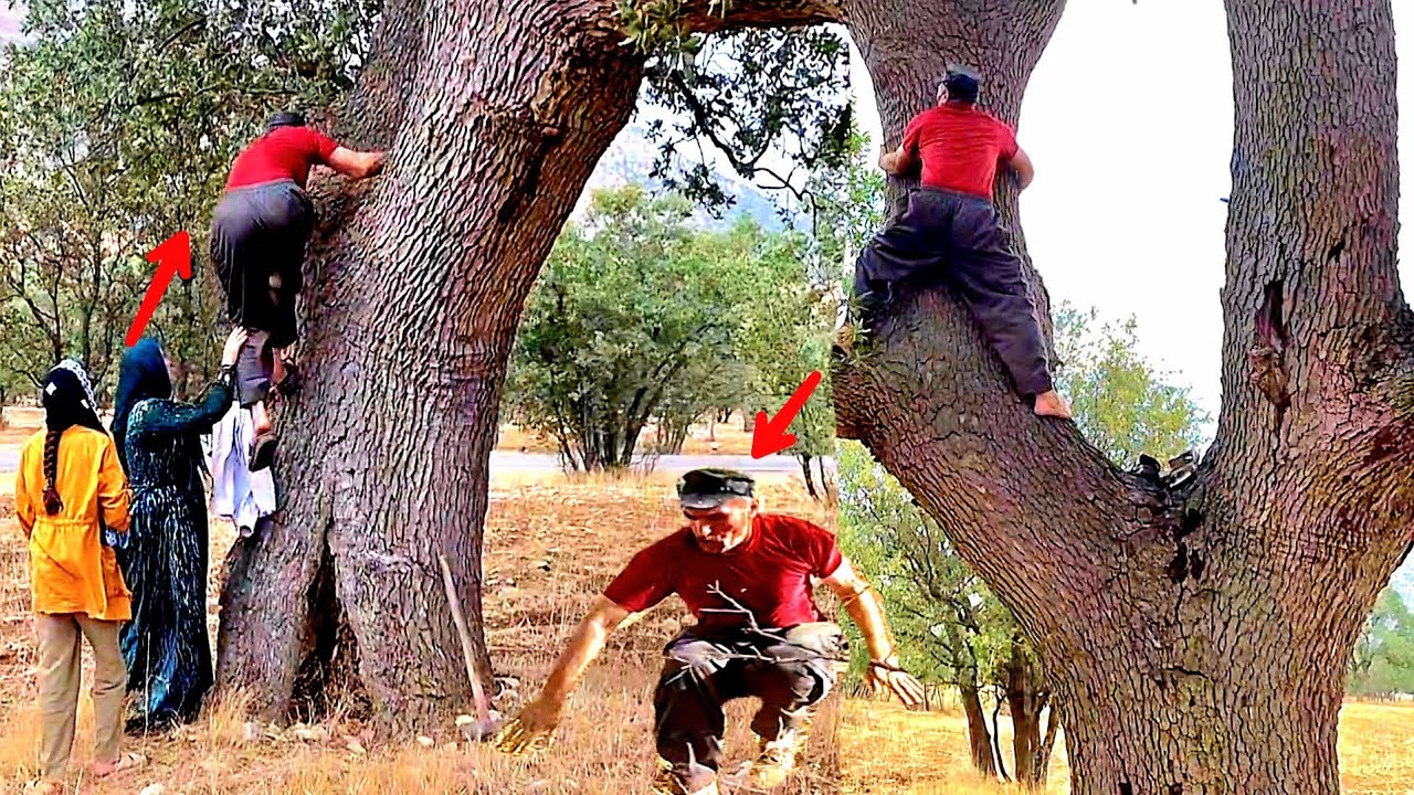 A father who embraces the risk of death for the welfare of his family ...