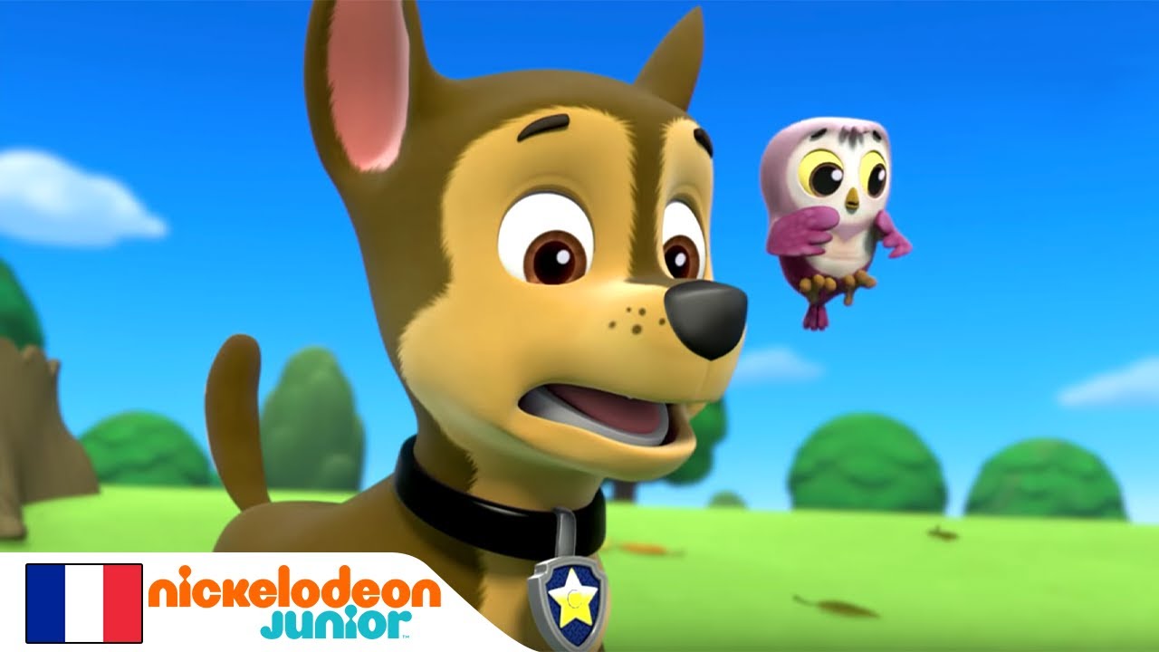 Paw Patrol : La Pat' Patrouille | Sauver la maison de Petit Bout ...