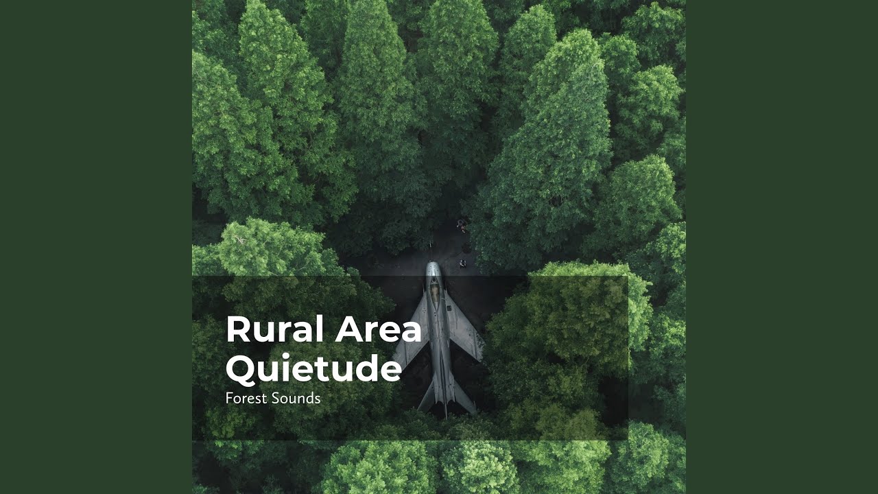 Rainforest Wind Breeze - YouTube