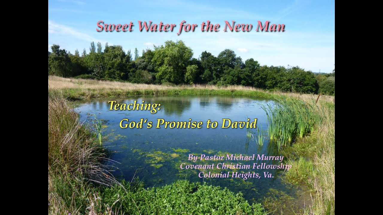 God‘s Promise to David - YouTube