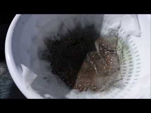 Gold Extraction from Electronic Scrap - YouTube
