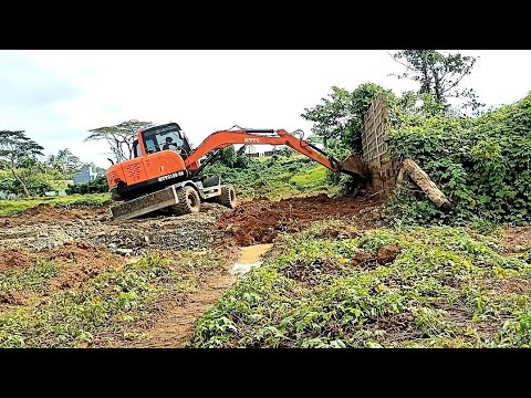 GOLDEN MEDOUS/ Wheel backhoe 120 MTTC amazing nice to clearing dead en ...