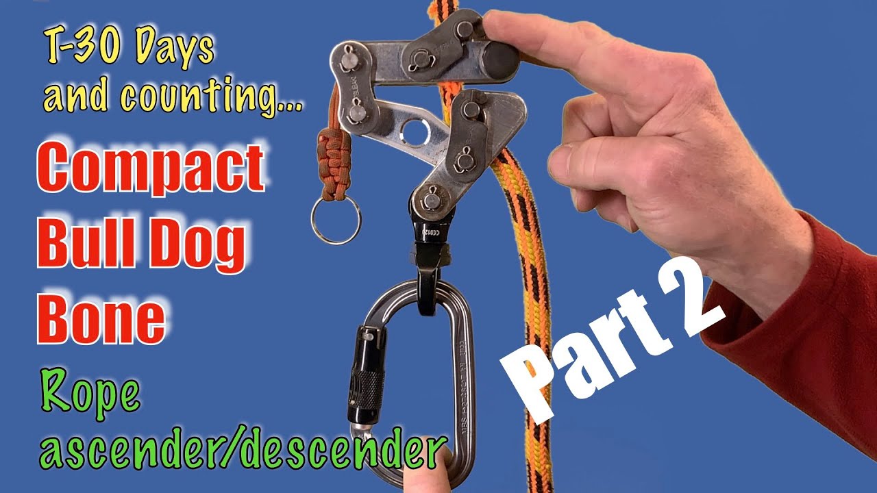 T-30 Days - The Compact Bull Dog Bone - Part 2 - YouTube