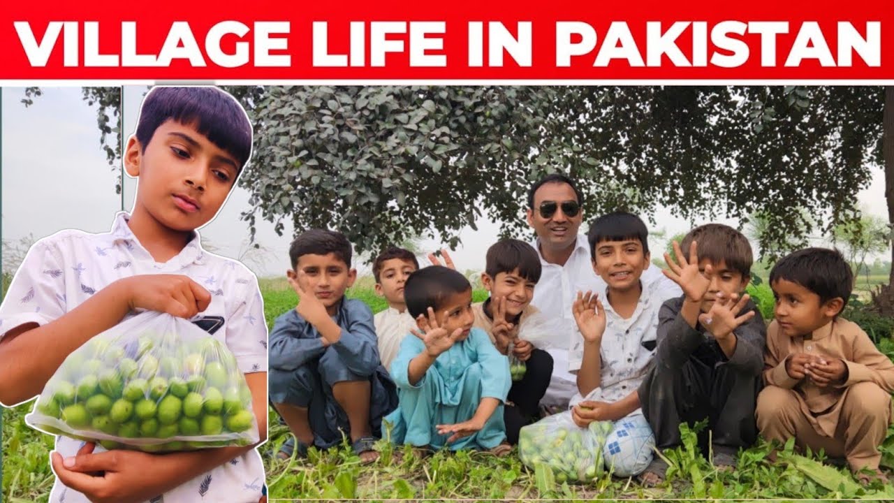 Village Life in Pakistan | Punjab Village Life - YouTube