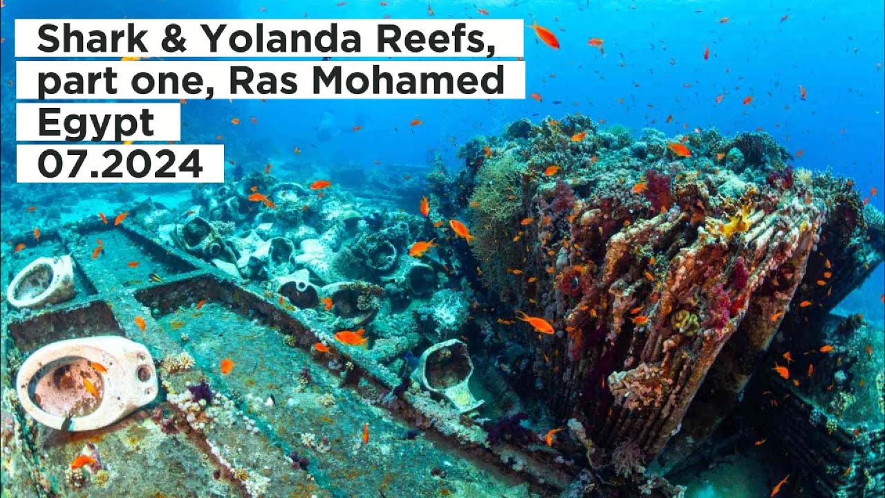 Shark & Yolanda Reefs part 1, Ras Mohamed, Egypt Дайвинг в Красном море ...