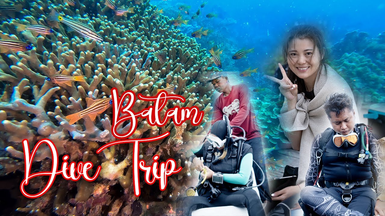 Batam Dive Trip | Scuba Diving - YouTube