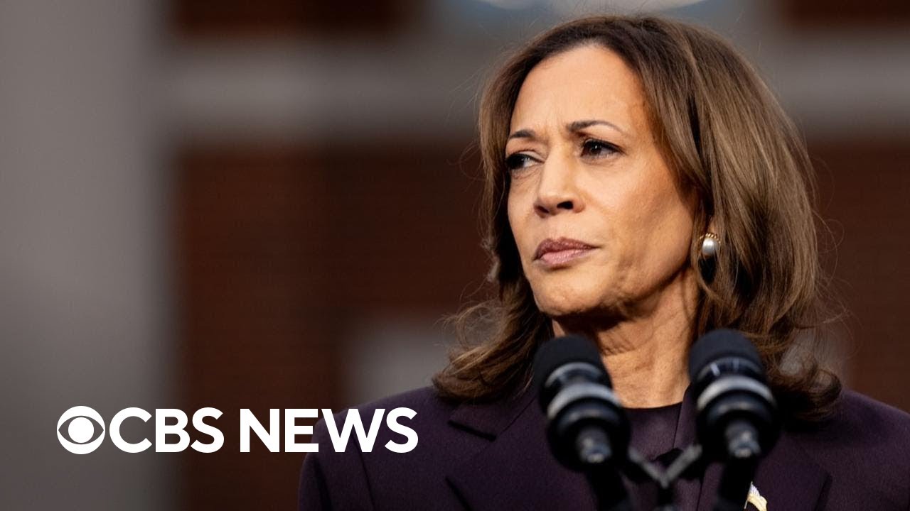 Democratic strategist on the party's economic message - YouTube