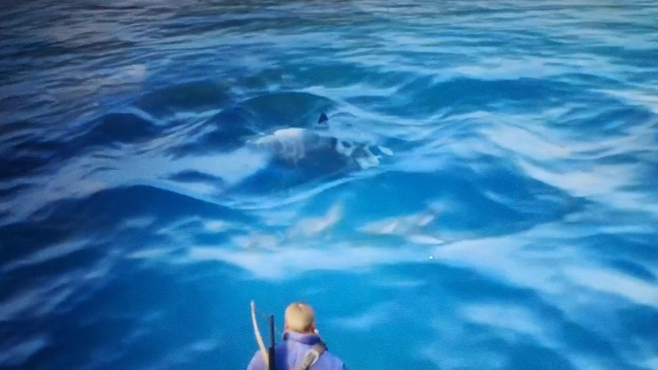 Shark hunting red dead redemption 2 guarma hammerhead shark - YouTube