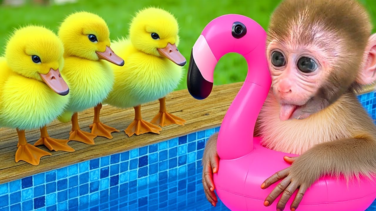 Bebé Mono BoBo hace espaguetis y los come delicioso con un patito lindo ...