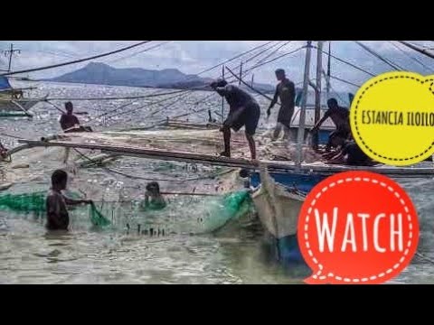 Fishing in Estancia Iloilo " Likos'... - YouTube