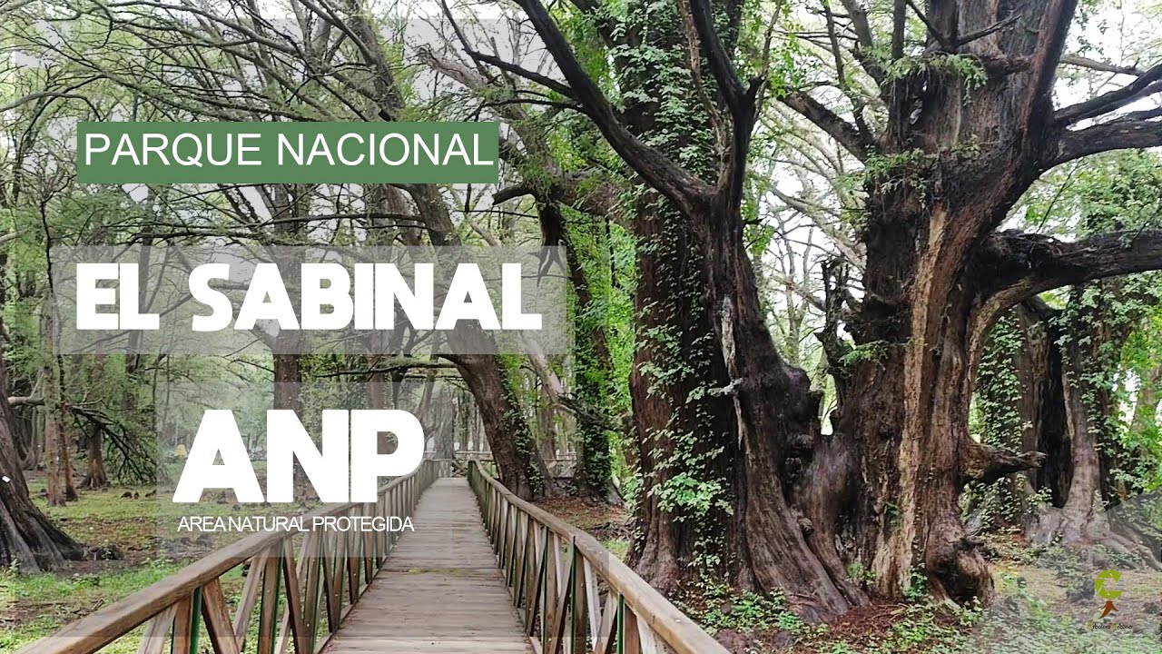 ANP PARQUE NACIONAL EL SABINAL - YouTube