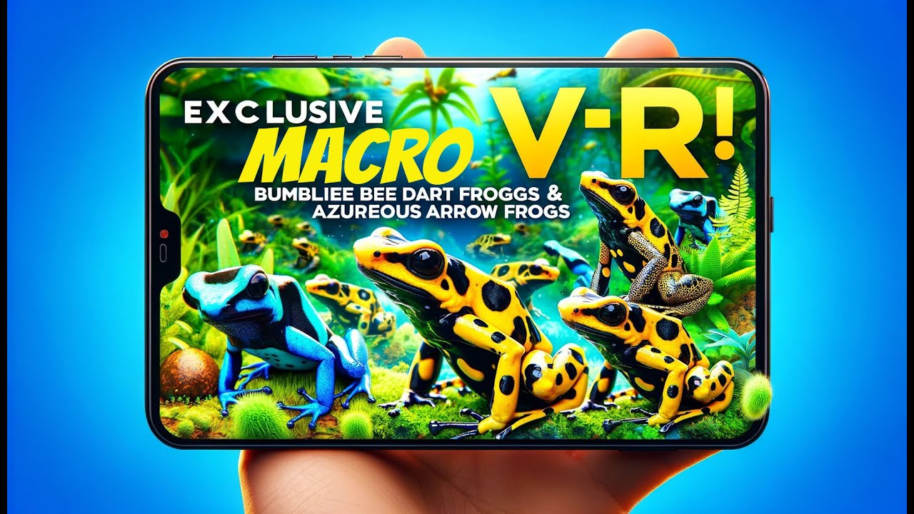 Macro VR 360 - Poison Arrow Frogs! - YouTube
